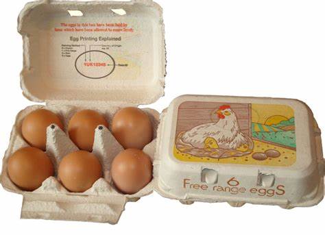 Egg Boxes - Individual - Free Range